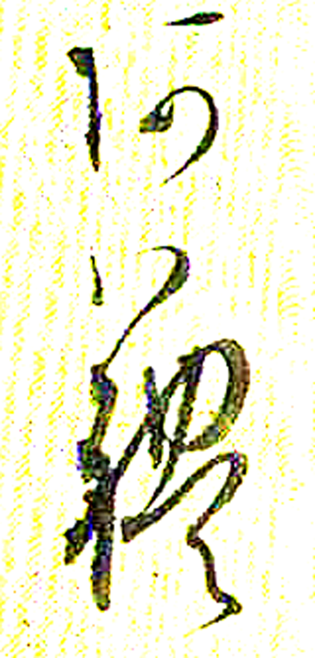 キャンパスプラザ京都で尾州家河内本「桐壺」を読む（第20回）（補訂版）: [たつみのいほり より]